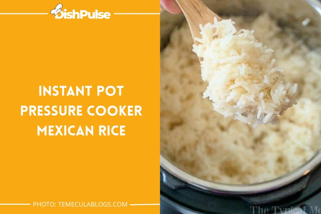 10 Best Instant Pot Mexican Rice Recipes: A Flavor Fiesta at Your ...