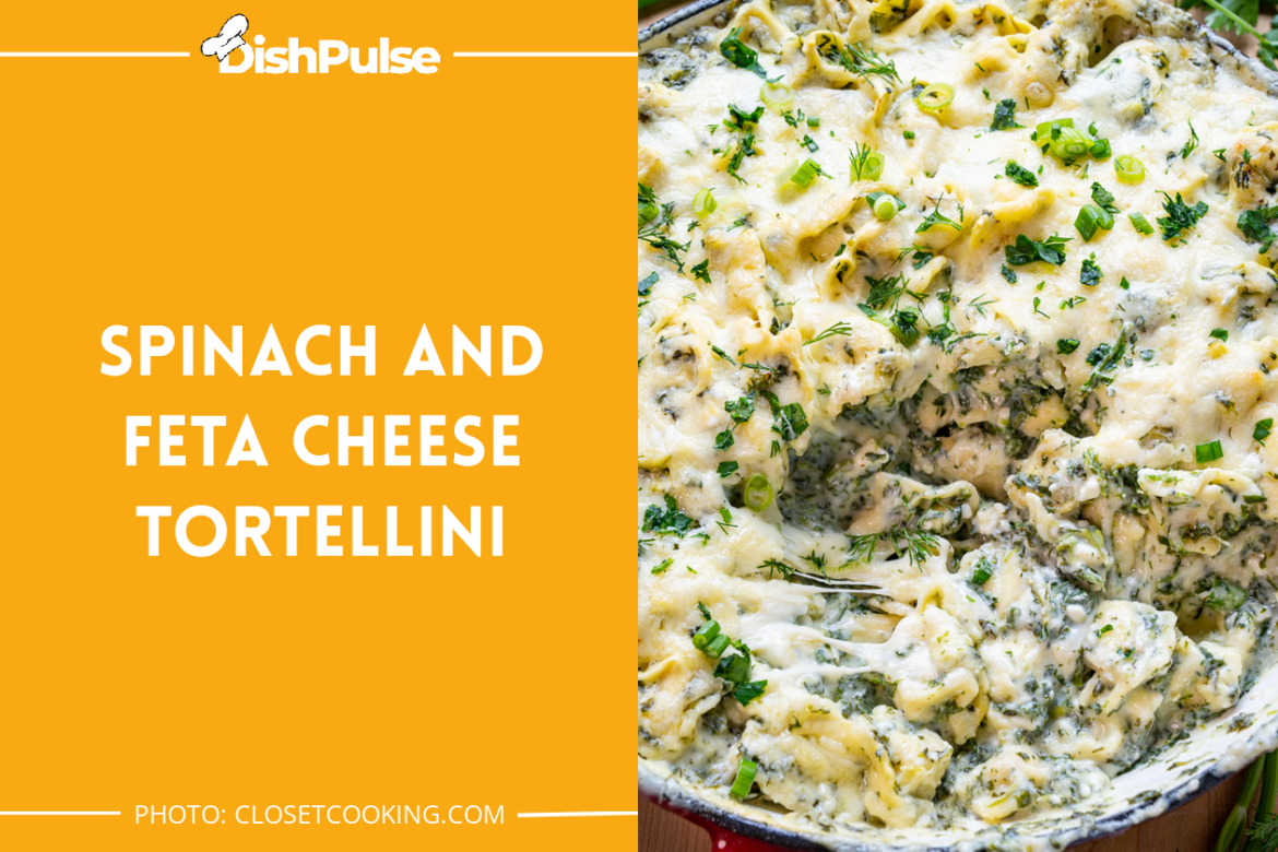 15 Best Feta Cheese Recipes: A Culinary Adventure in Creamy Delights